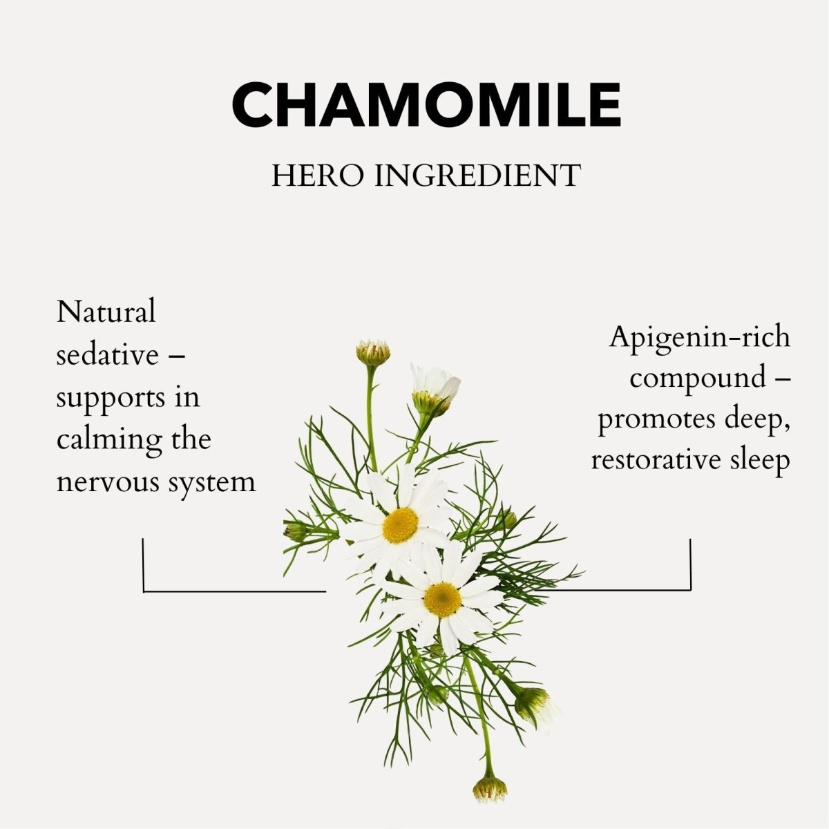 Anatome Restless Mind Sleep Oil | Roman Chamomile – Willow & Finn Candles