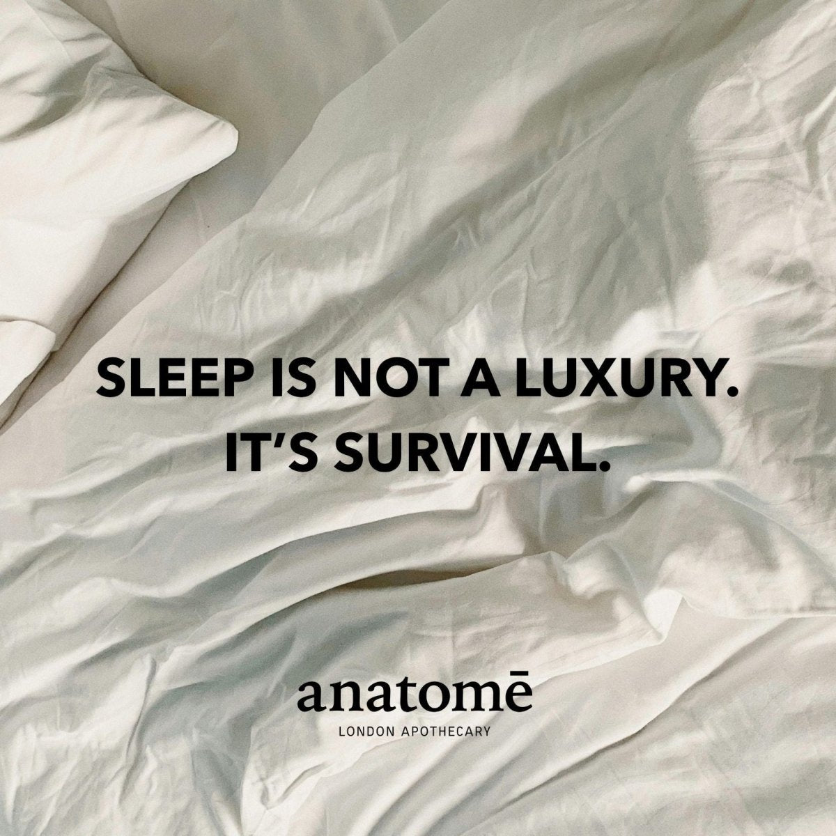 Anatome Restless Mind Sleep Oil | Roman Chamomile – Willow & Finn Candles